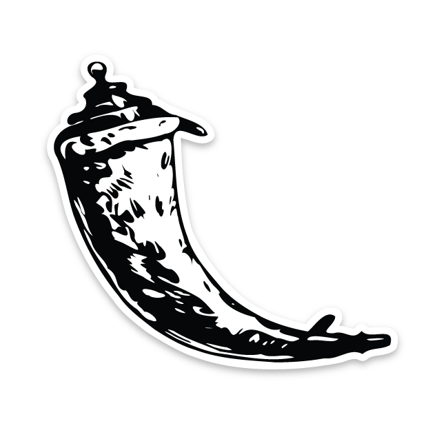 Sachin R Doddaguni | Software Developer